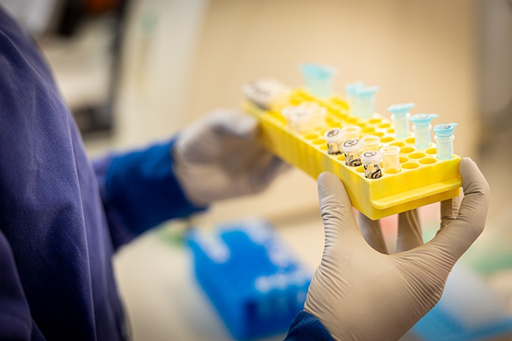 Von der Forschung bis zum Medikament